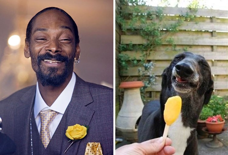 Strange and funny look-alikes (33 Photos) - Badchix Magazine