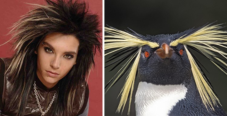Strange and funny look-alikes (33 Photos) - Badchix Magazine